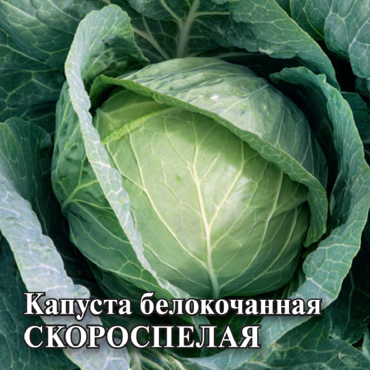 Семена Капуста белокочанная Скороспелая, 50г, Гавриш, Фермерское ...