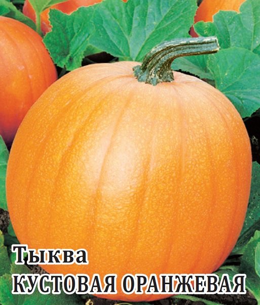 Семена Тыква Кустовая оранжевая, 25г, Гавриш, Фермерское подворье по ...