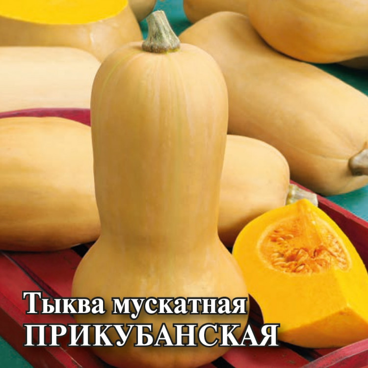 Семена Тыква мускатная Прикубанская, 25г, Гавриш, Фермерское подворье ...
